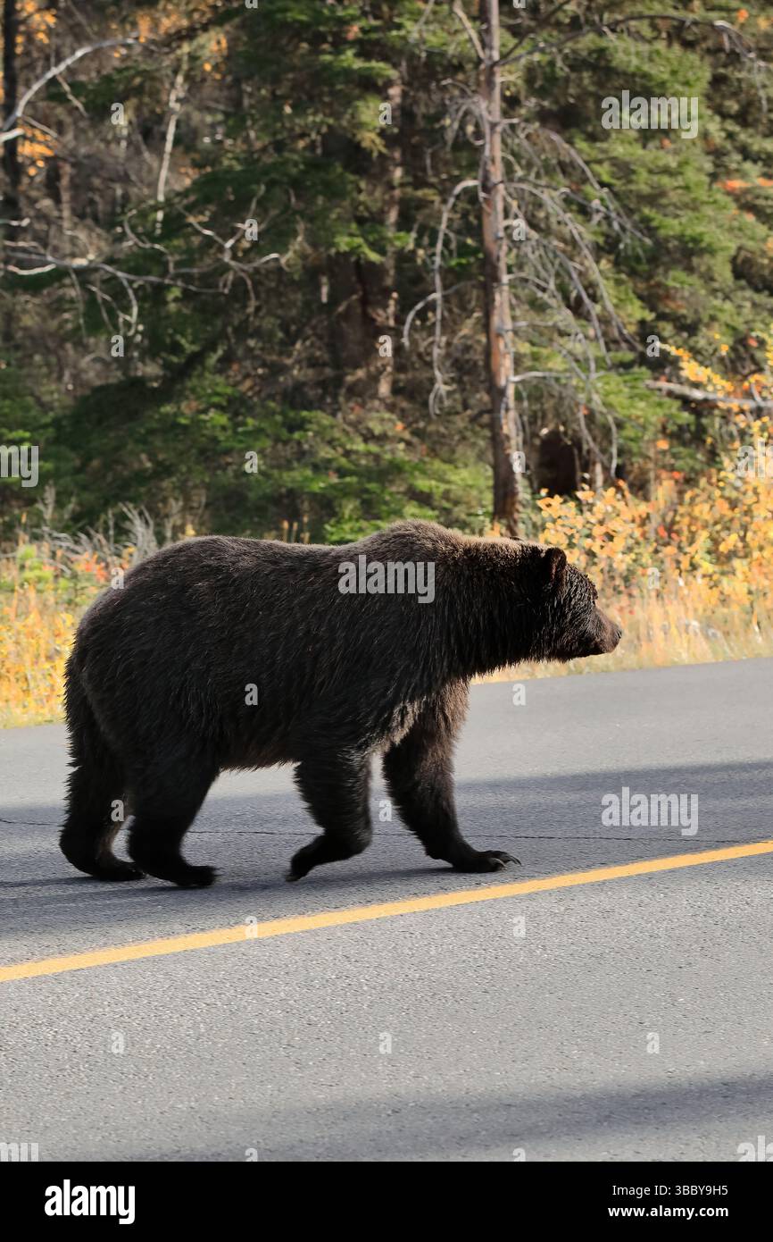 Two lane highway next lake hi-res stock photography and images - Alamy