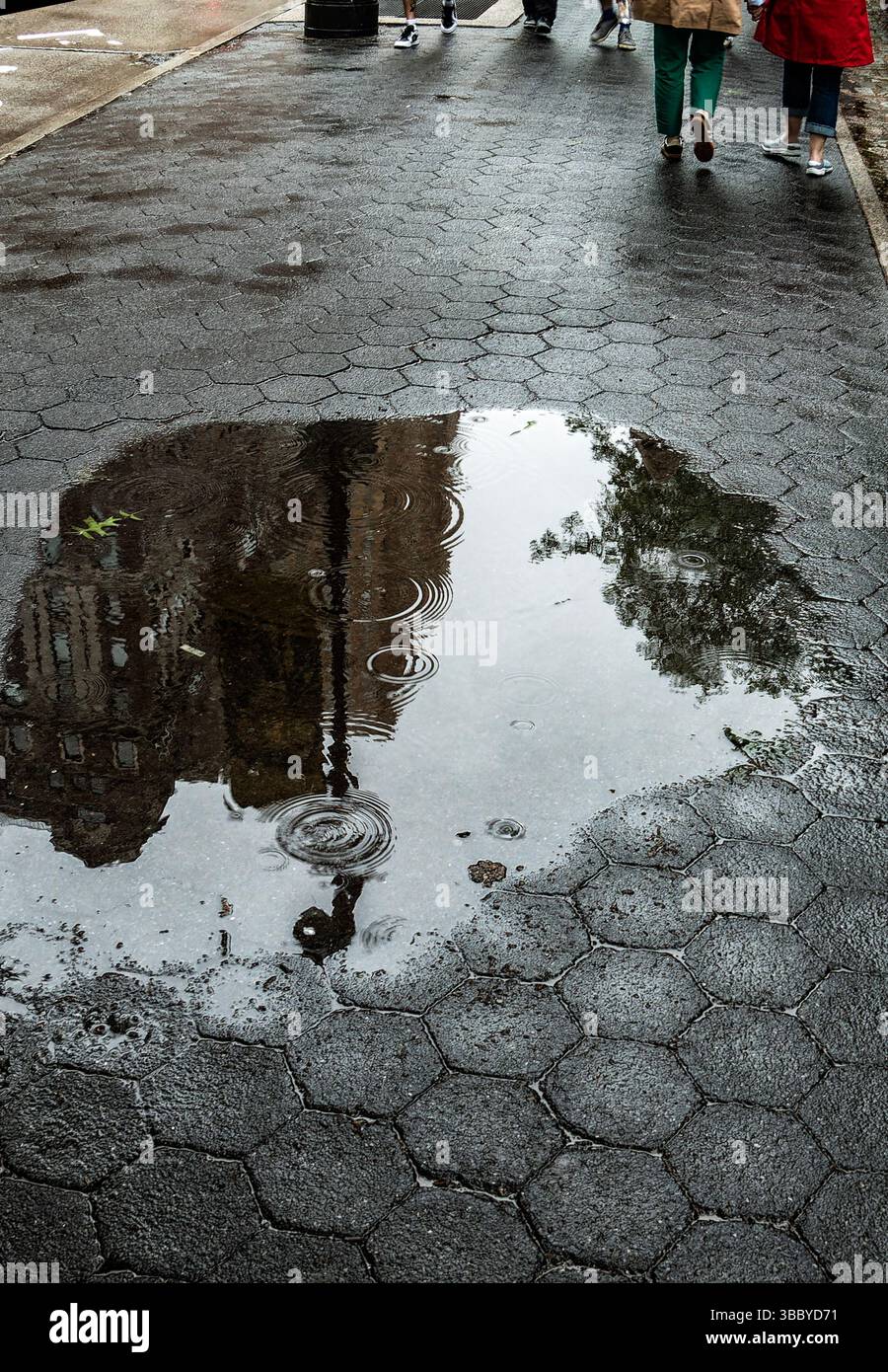 Wet puddle on a sidewalk in New York City Stock Photo - Alamy