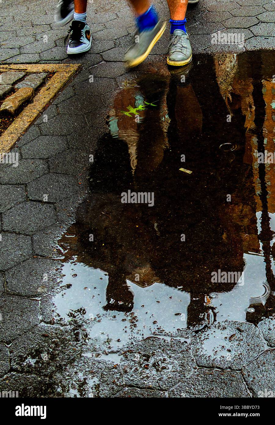 Wet puddle on a sidewalk in New York City Stock Photo - Alamy