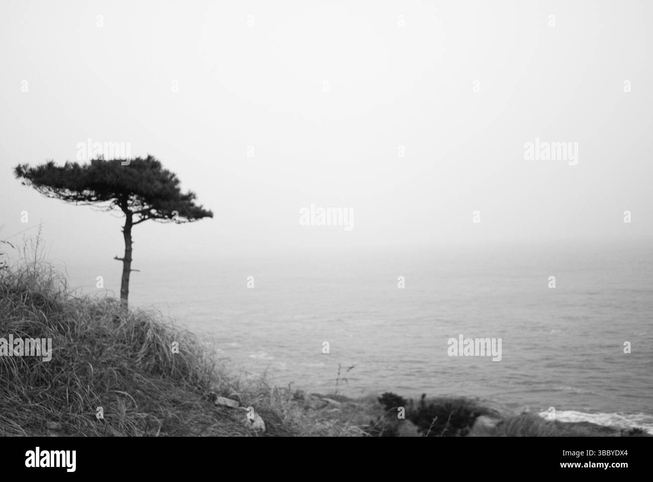 Cliffside minimalist art hi-res stock photography and images - Alamy