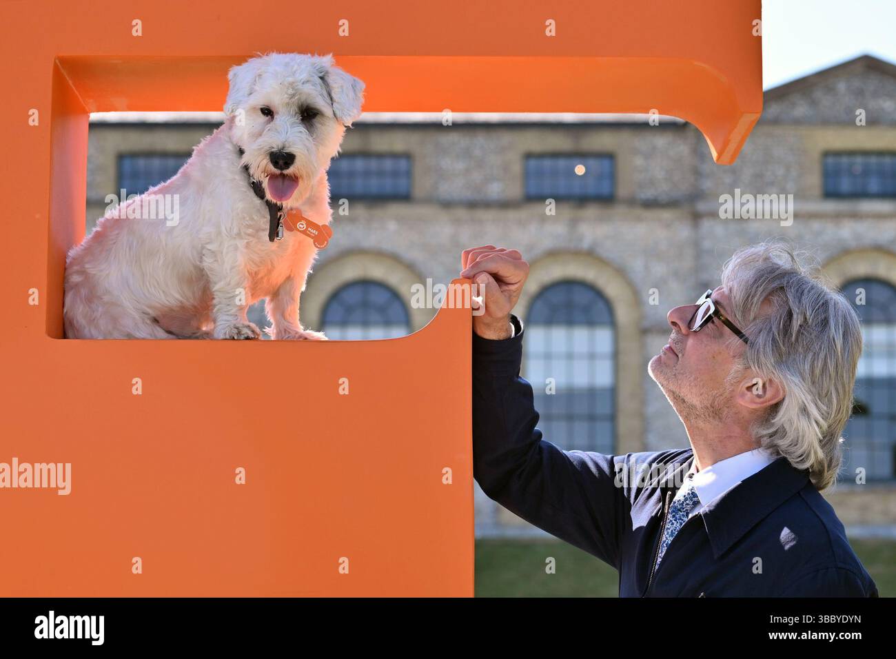 A general view of dogs and their owners at Goodwoof, held at the ...