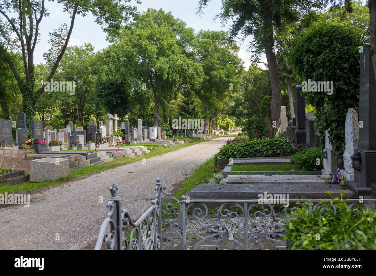 view, Zentralfriedhof, the central cemetery, Vienna, Austria Stock ...