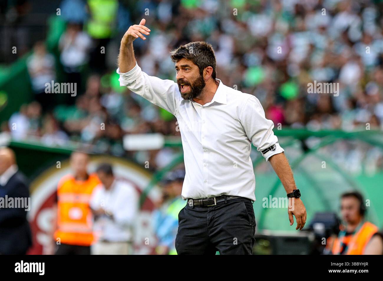 Luis Freire head coach of Vitoria SC during the Liga Portugal Betclic ...