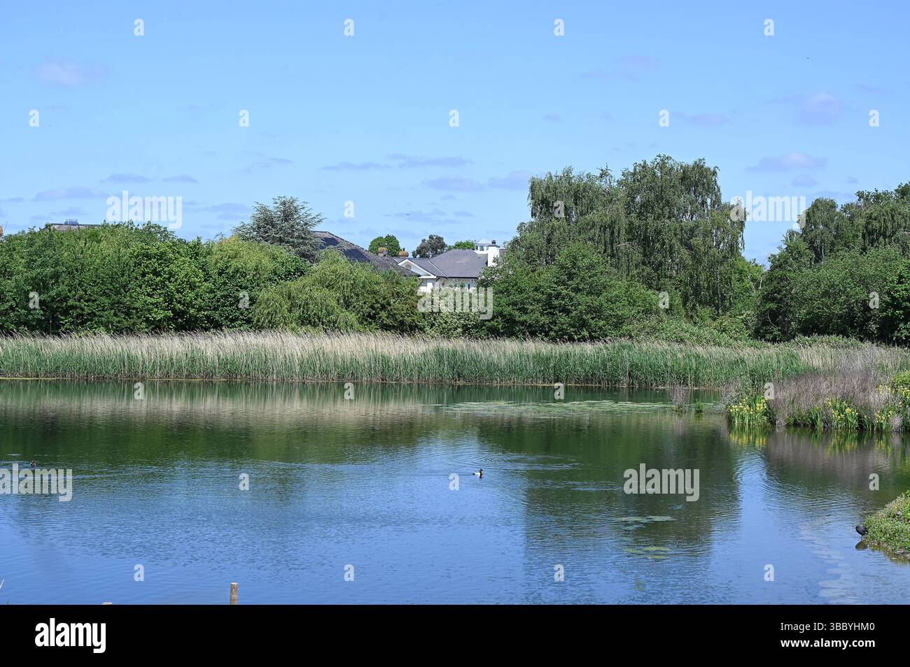 The 105 acre Wetland centre was built on 4 Victorian reservoirs . It's ...