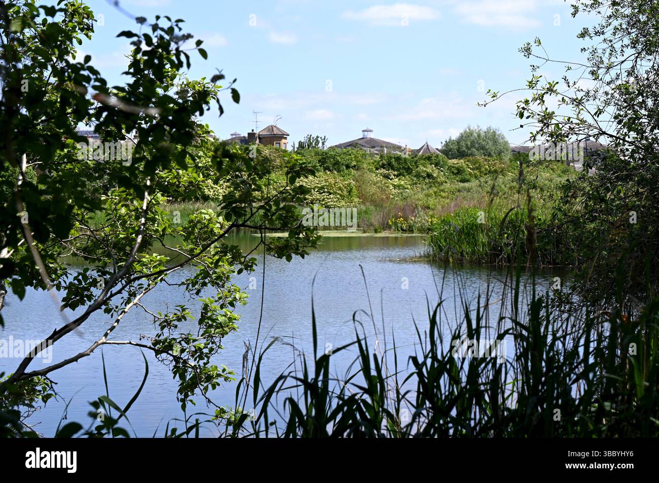 The 105 acre Wetland centre was built on 4 Victorian reservoirs . It's ...