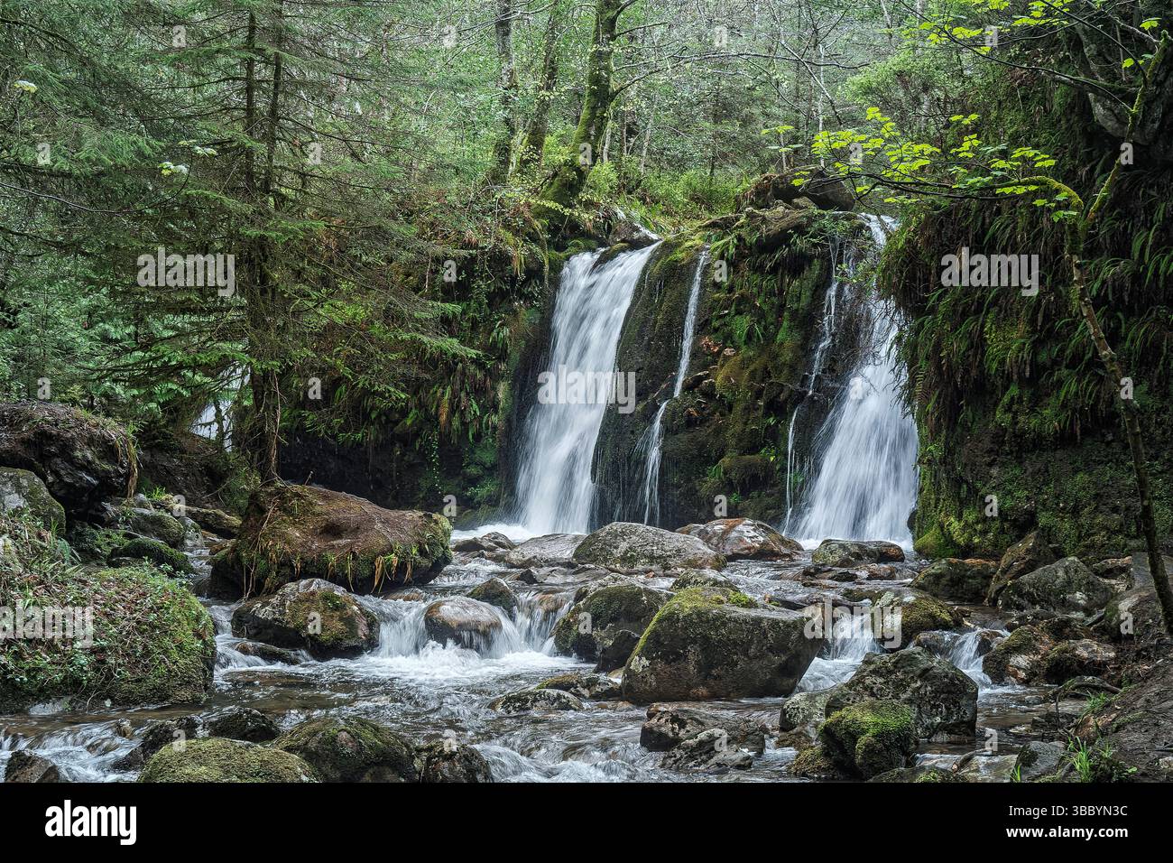 Triple waterfall cascading into a pool, flowing wild through Glenmalure ...