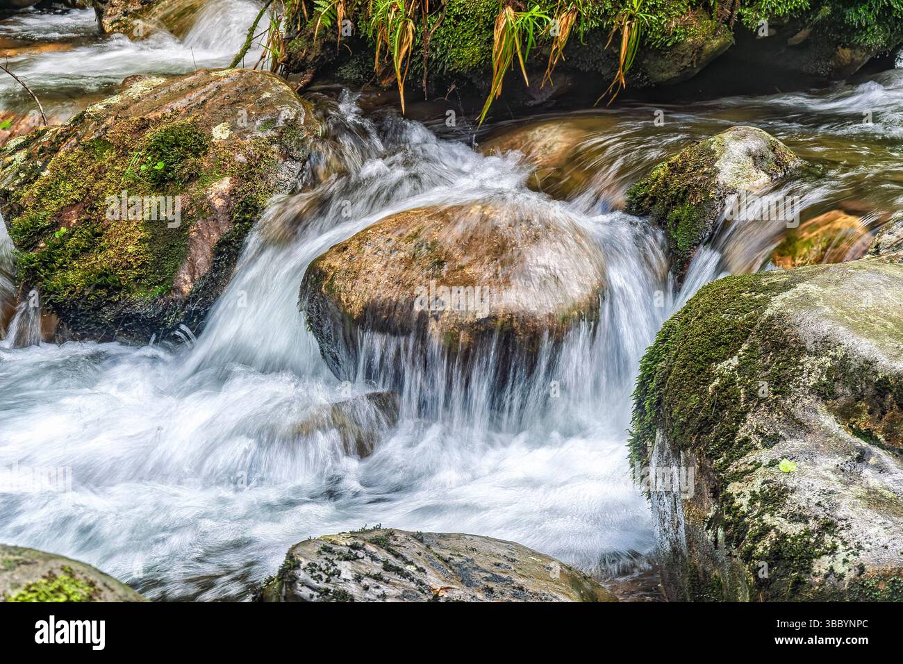 Wild water rushing over and between fossy rocks with the raw energy of ...