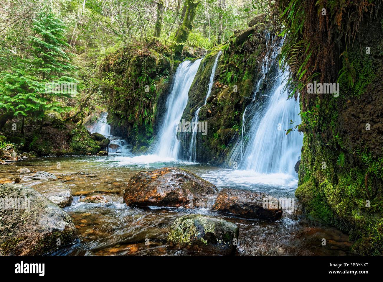 Triple waterfall cascading into a pool, flowing wild through Glenmalure ...