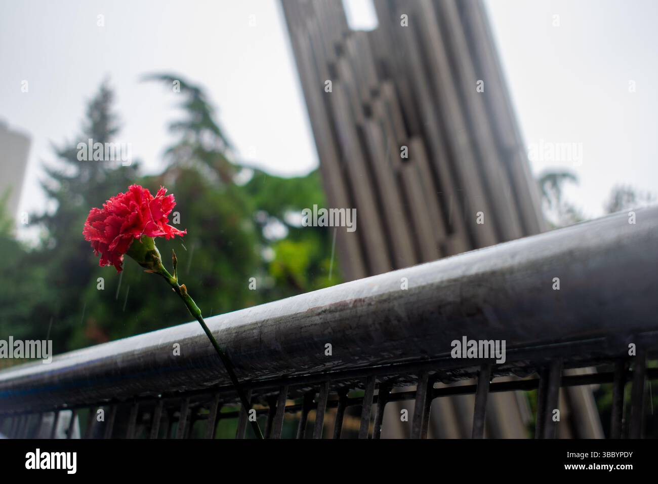 Istanbul, Istanbul, Turkey. 17th May, 2025. The Saturday Mothers, whose ...