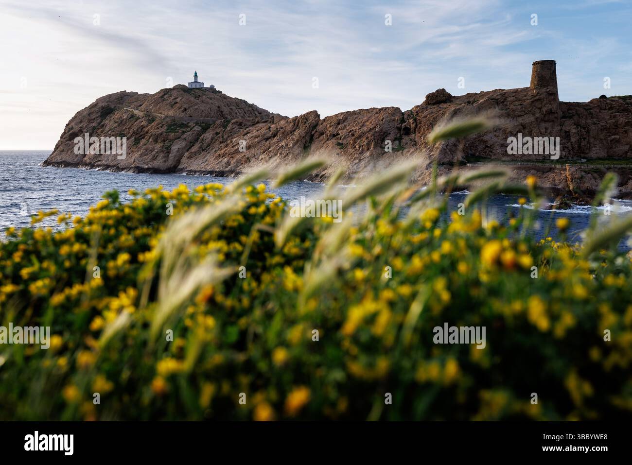 22 April 2025, France, L·ile-Rousse: View of L'Île-Rousse on the island ...