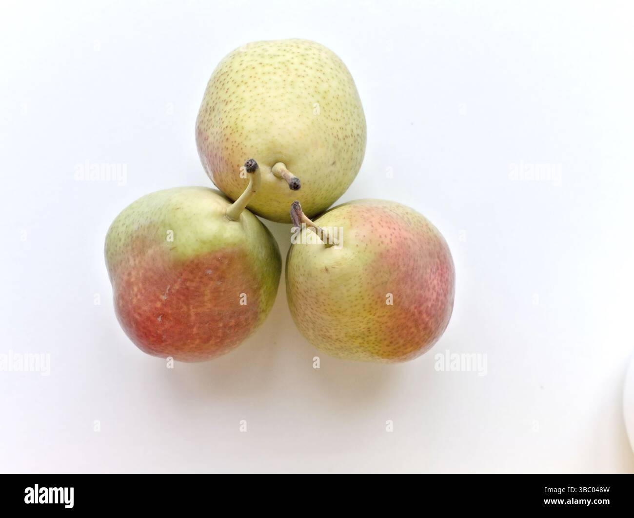 Three apples are sitting on a white background. The apples are green ...