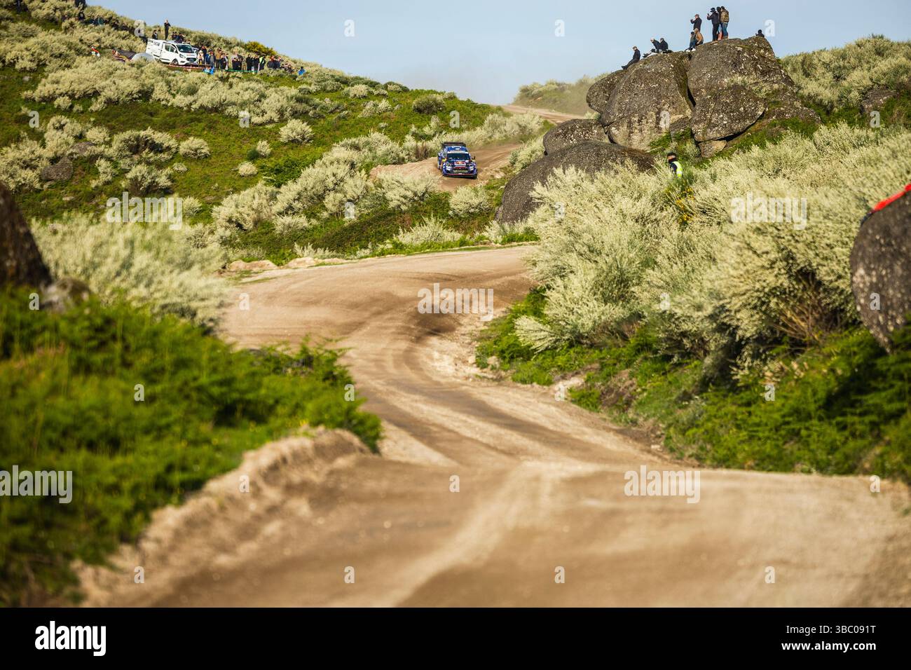55 Joshua MCERLEAN, Eoin TREACY, Ford Puma Rally1, action during the 2025 Rally de, Portugal ...