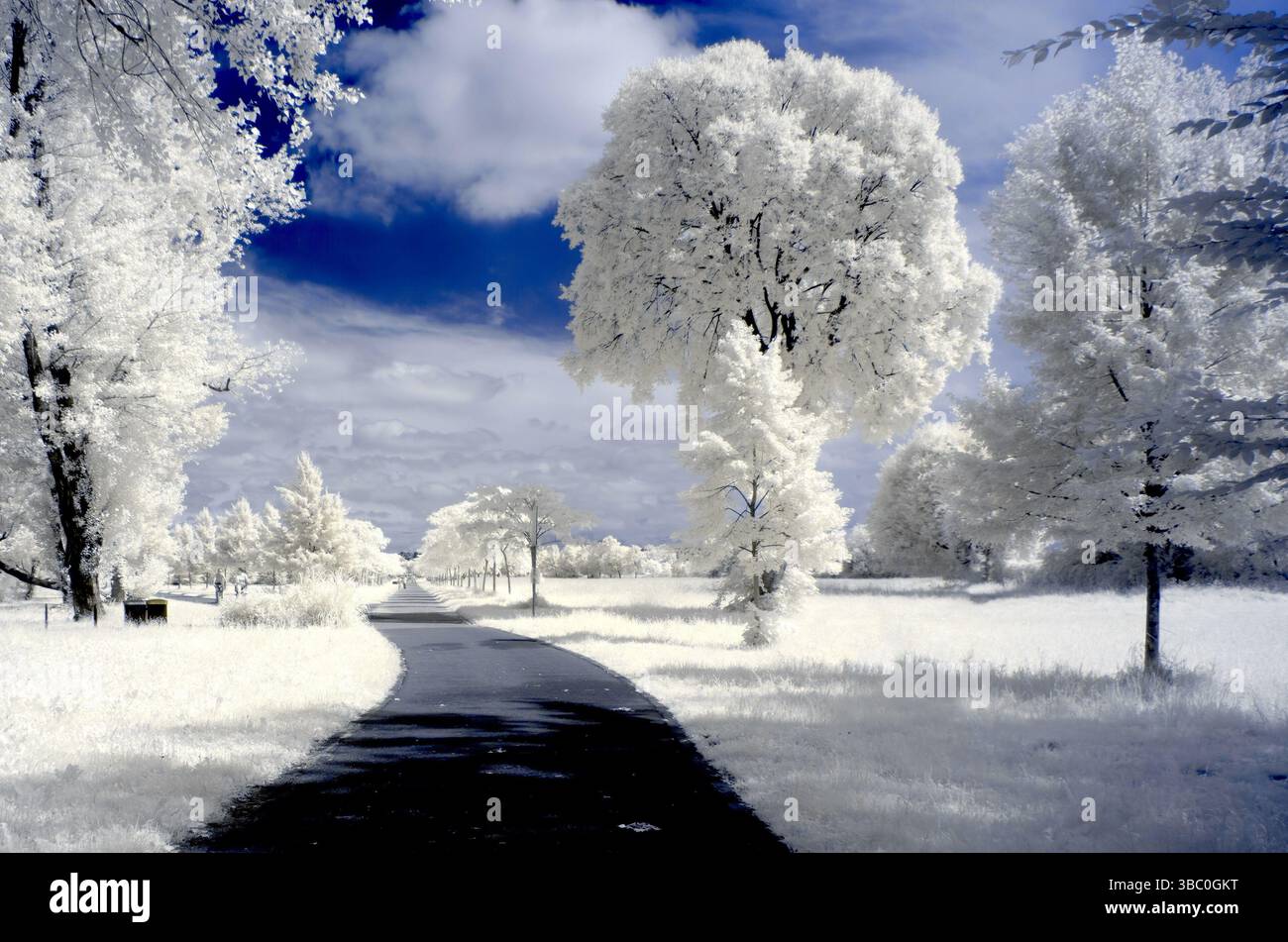Infrared panorama, Parco Nord Bresso Stock Photo - Alamy