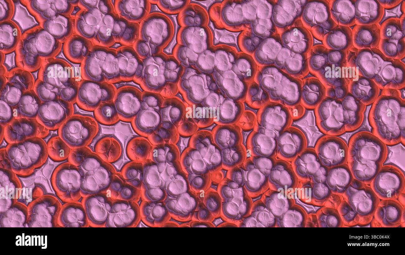 Magnified Cellular Structure Background - Purple and Red Microscopic ...