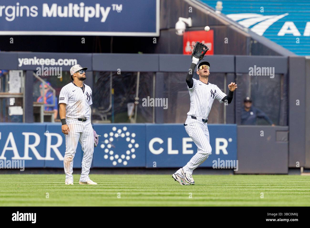 BRONX, NY - MAY 17: New York Yankees outfielder Cody Bellinger (35 ...