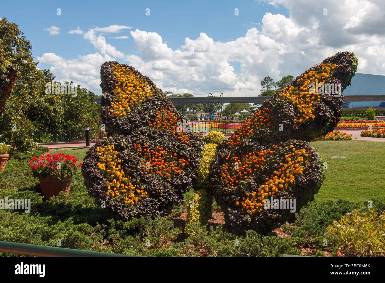 Beautiful Butterfly at the Flower and Garden festival at Epcot ...