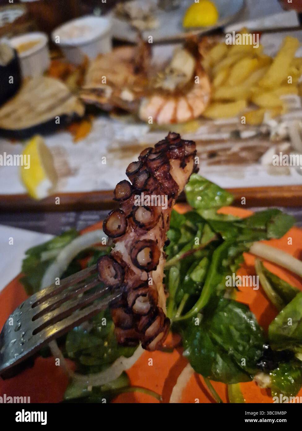 Striking octopus hi-res stock photography and images - Alamy