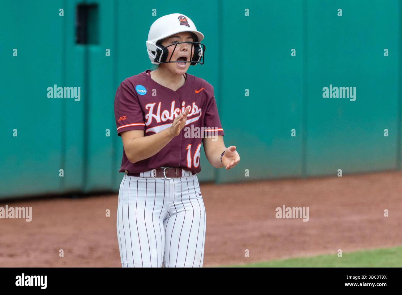 Virginia Tech utility Jordan Lynch (16) cheers her teammate during an ...