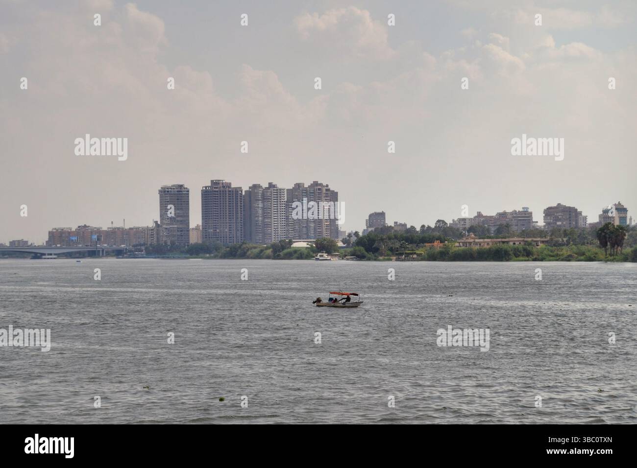 Plants and the Nile River from the terrace of Manasterly Palace on Roda ...