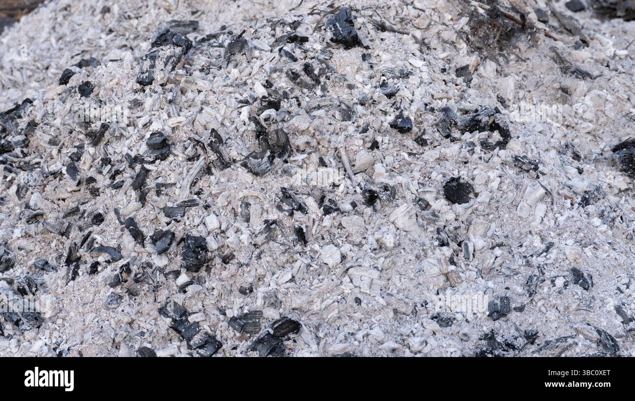 Wood ash texture Stock Photo - Alamy