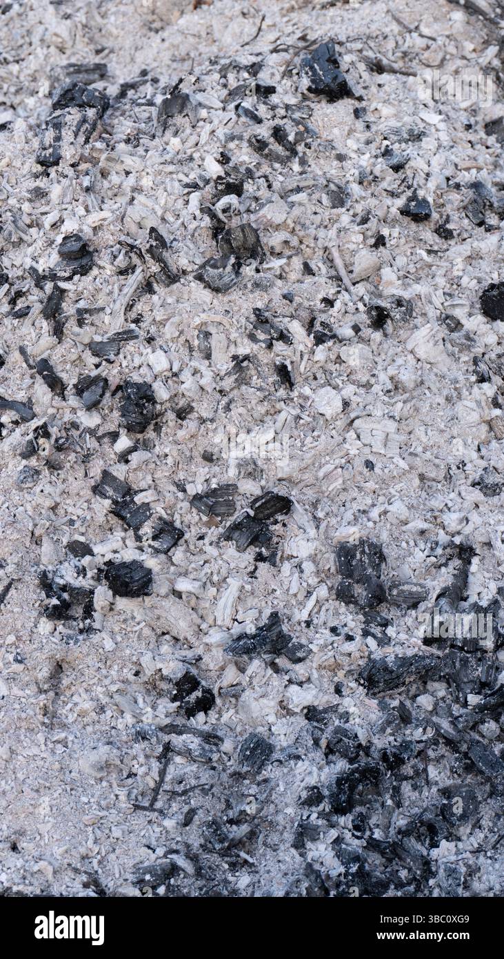 Wood ash texture Stock Photo - Alamy
