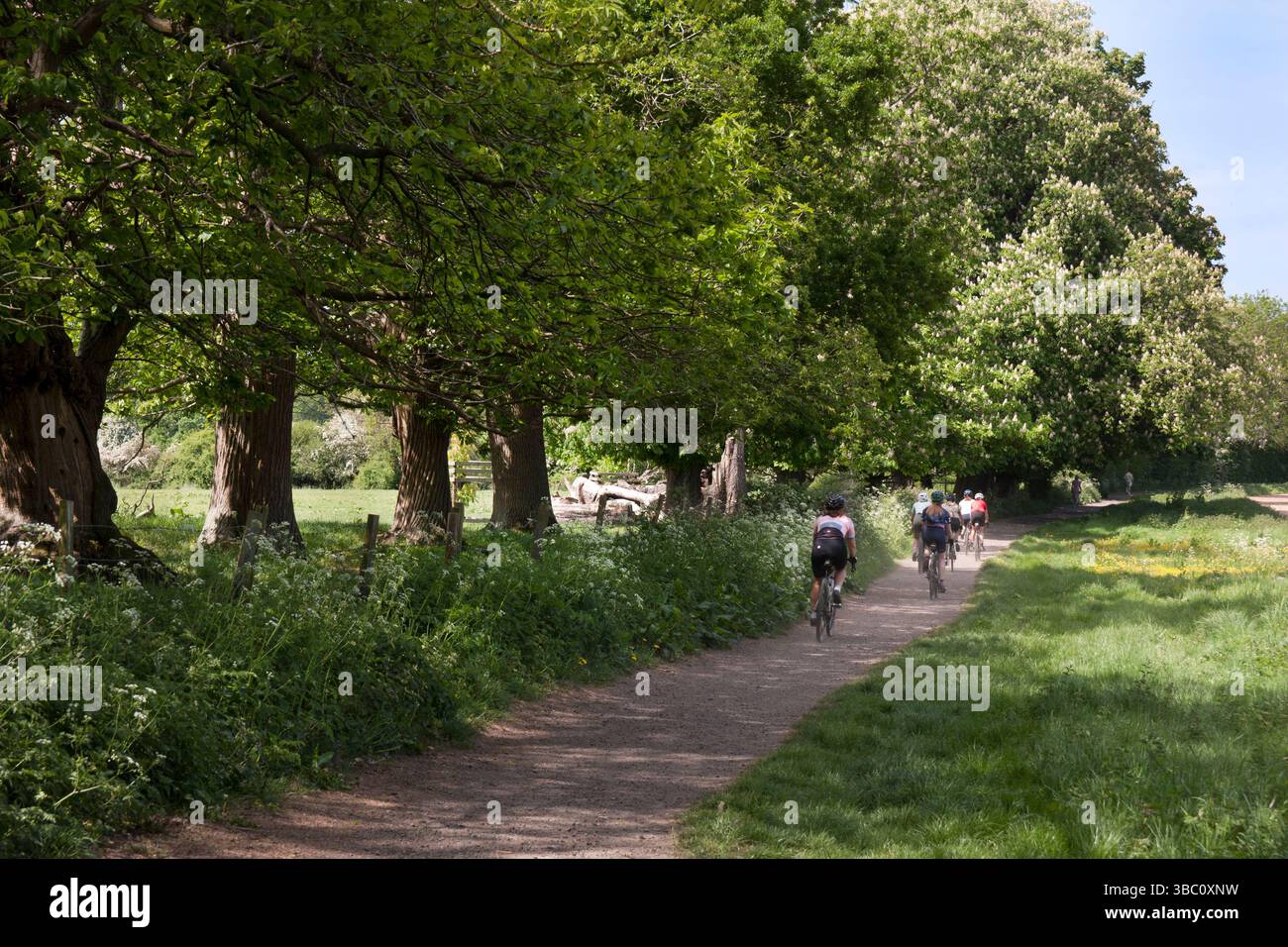 Brockham surrey hi-res stock photography and images - Alamy