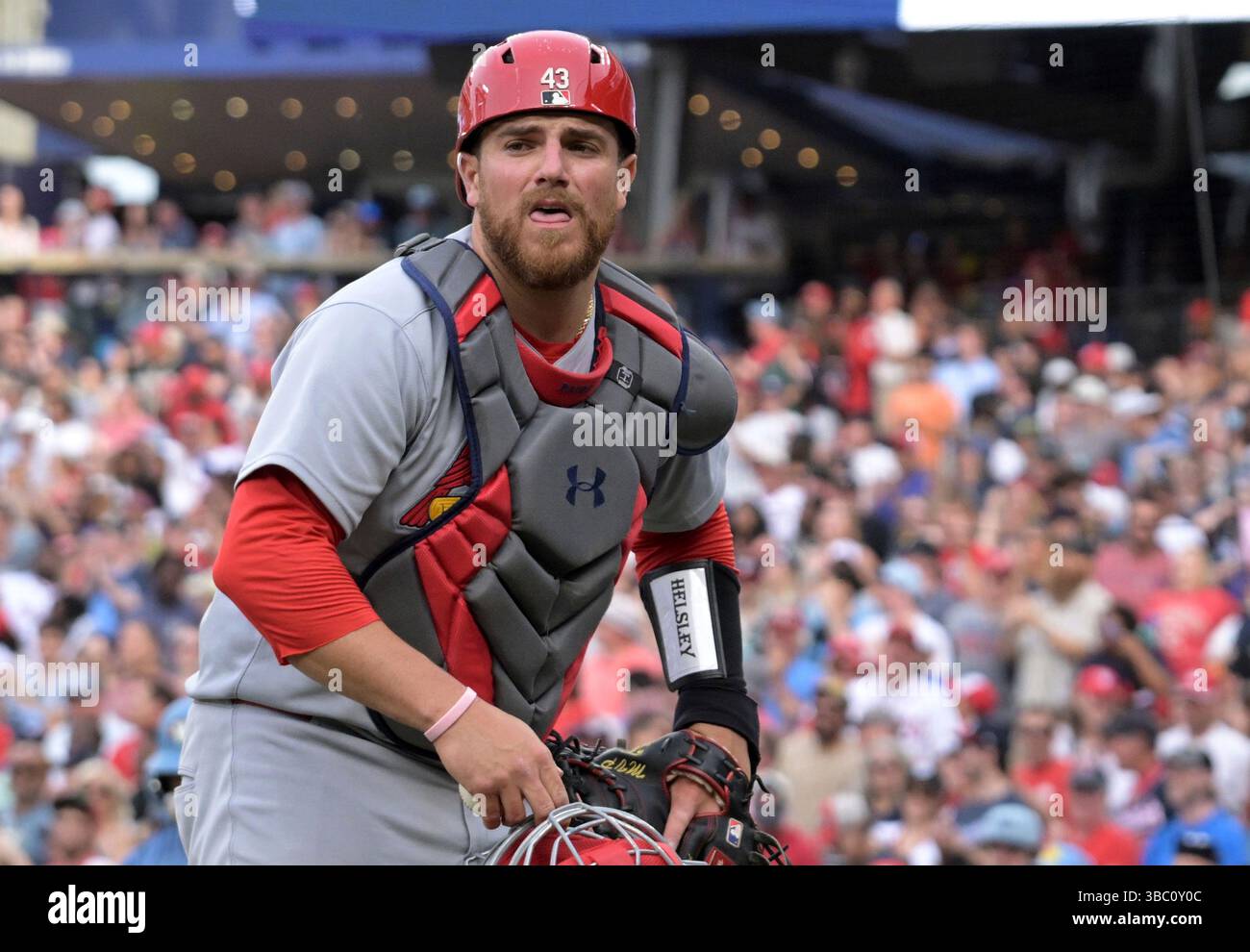 WASHINGTON, DC - MAY 10: St. Louis Cardinals catcher Pedro Pagés (43 ...