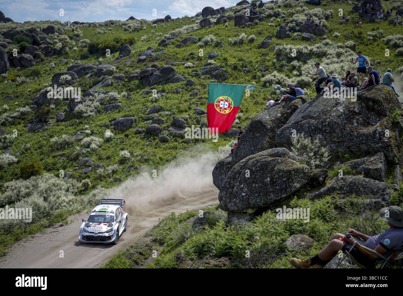 33 Elfyn EVANS, Scott MARTIN, Toyota GR Yaris Rally1, action during the ...
