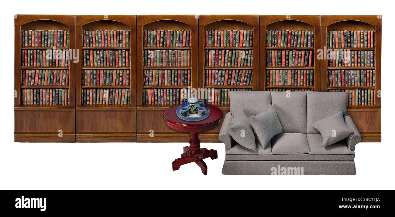Library of Bookcases full of a variety of books and a couch to read on ...