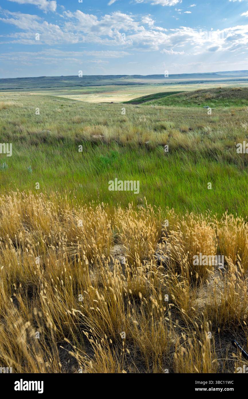 Grasslands National Park on a windy day. Saskatchewan Canada Stock ...