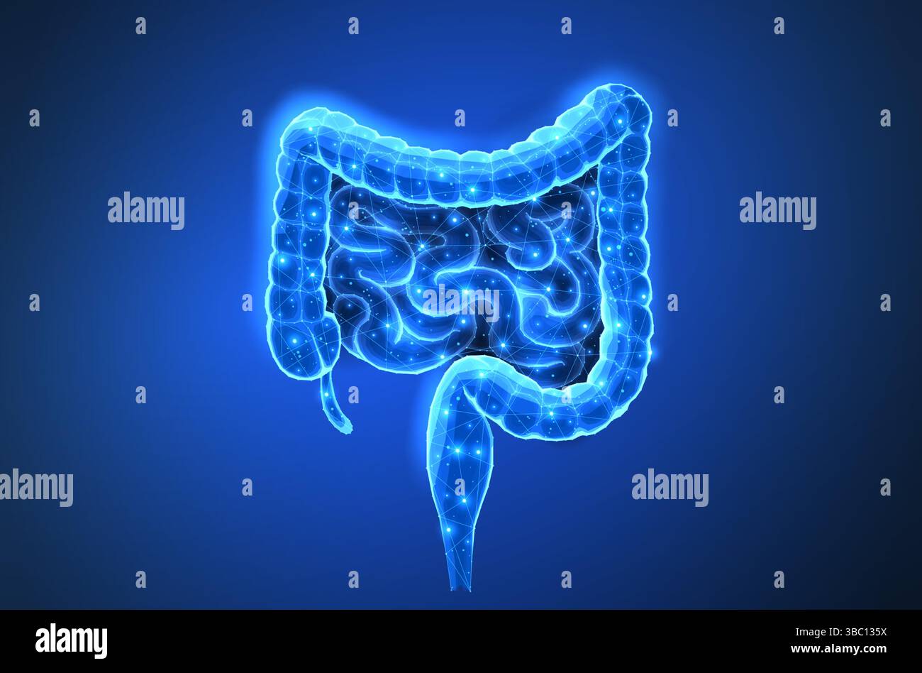Abstract isolated wireframe intestinal human digestive system. Gut ...