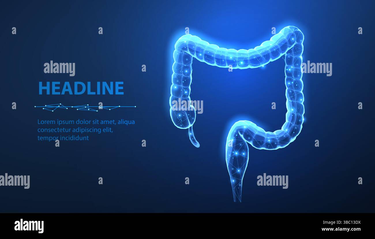 Large intestine. Gut health, bowel disease, gastrointestinal tract ...
