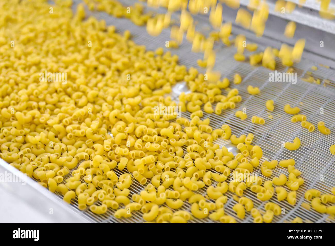 Vibrating sieve in a pasta manufacturing plant reveals fresh macaroni ...