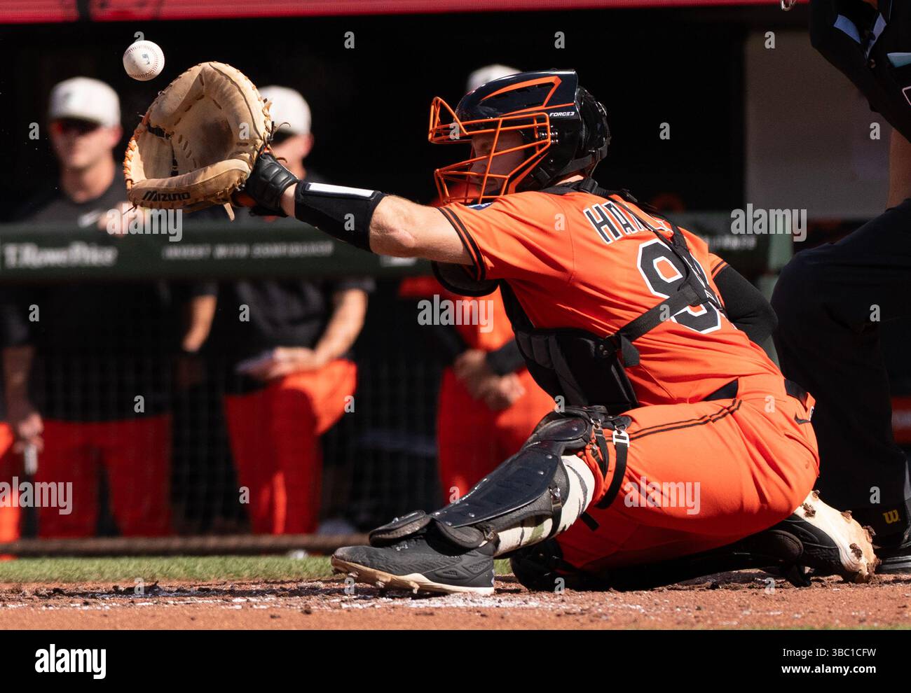 Baltimore, USA. 17th May, 2025. BALTIMORE, MD - MAY 17: Baltimore ...