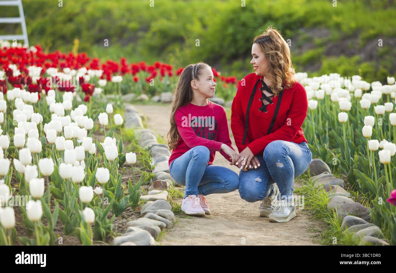 The mom with her daughter among a field of red and white tulips. They ...