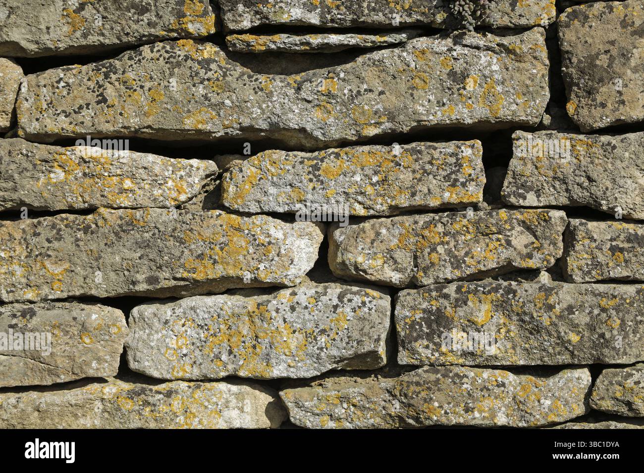 Stone wall, detail, Snowshill, The Cotswolds, England, Great Britain ...