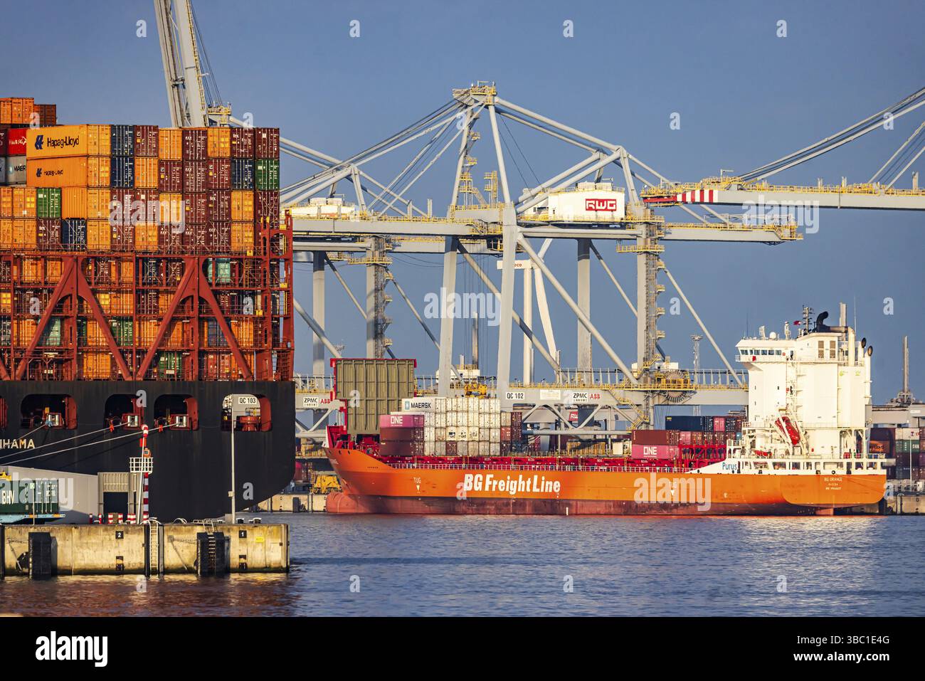 Container ship BG ORANGE. BG Fright Line. Container terminal in the ...