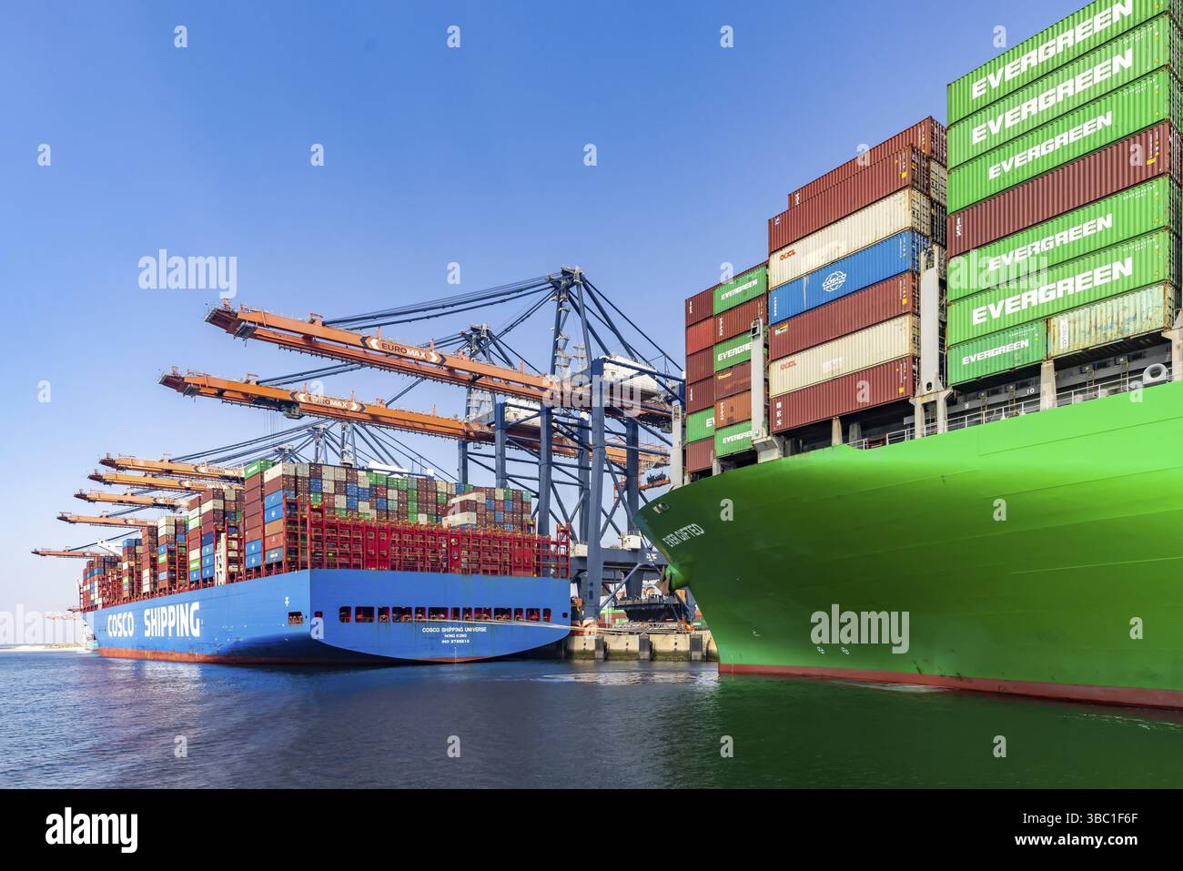 The containership COSCO Shipping Universe is 399.8 metres long. Euromax ...