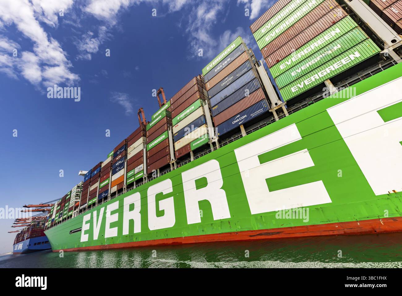Container ship EVER GIFTED at Euromax Container Terminal. The mega ship ...