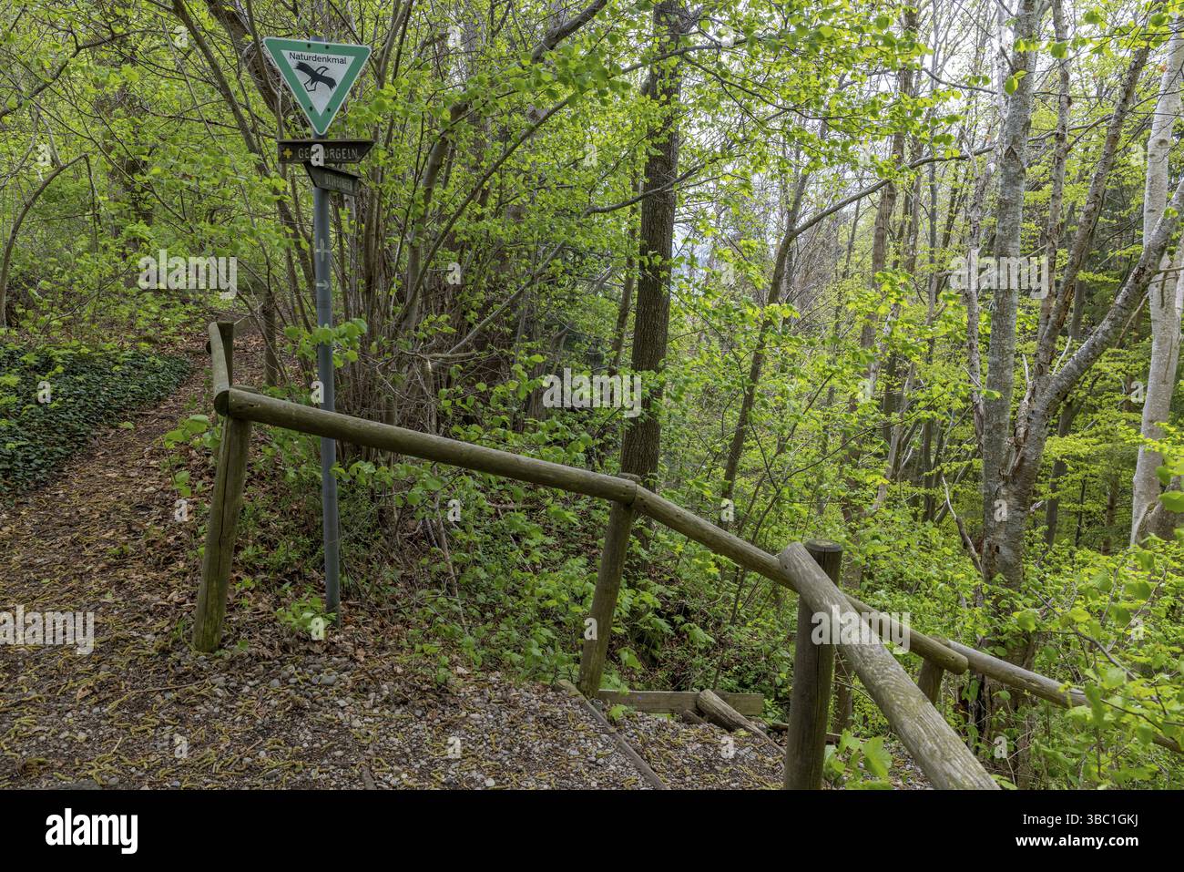 Natural monument Geological organs near the hamlet of Bossarts, Wolfertschwenden, Bavaria ...