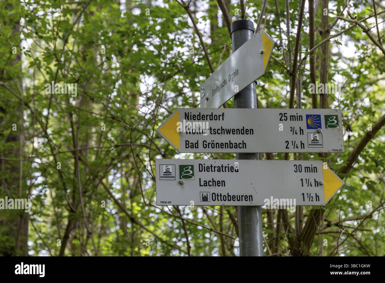 Signpost in the forest, natural monument Geological Organs near the hamlet of Bossarts, between ...