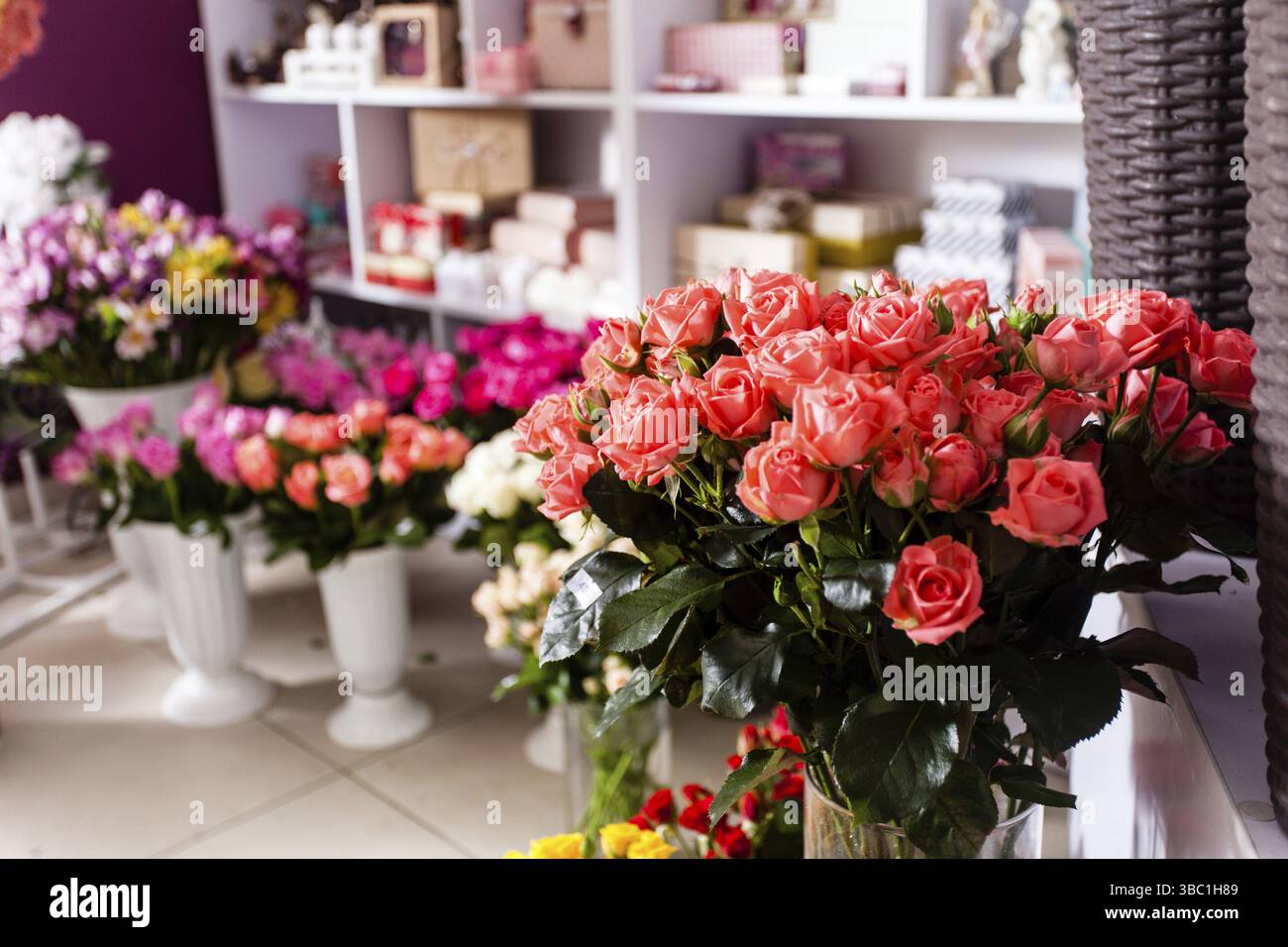 Collection of beautiful roses for sale at a floristic shop Stock Photo ...