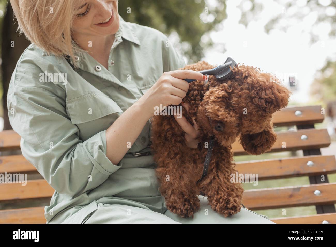 Closeup view female dog owner with blond hair holding cute Toy poodle ...