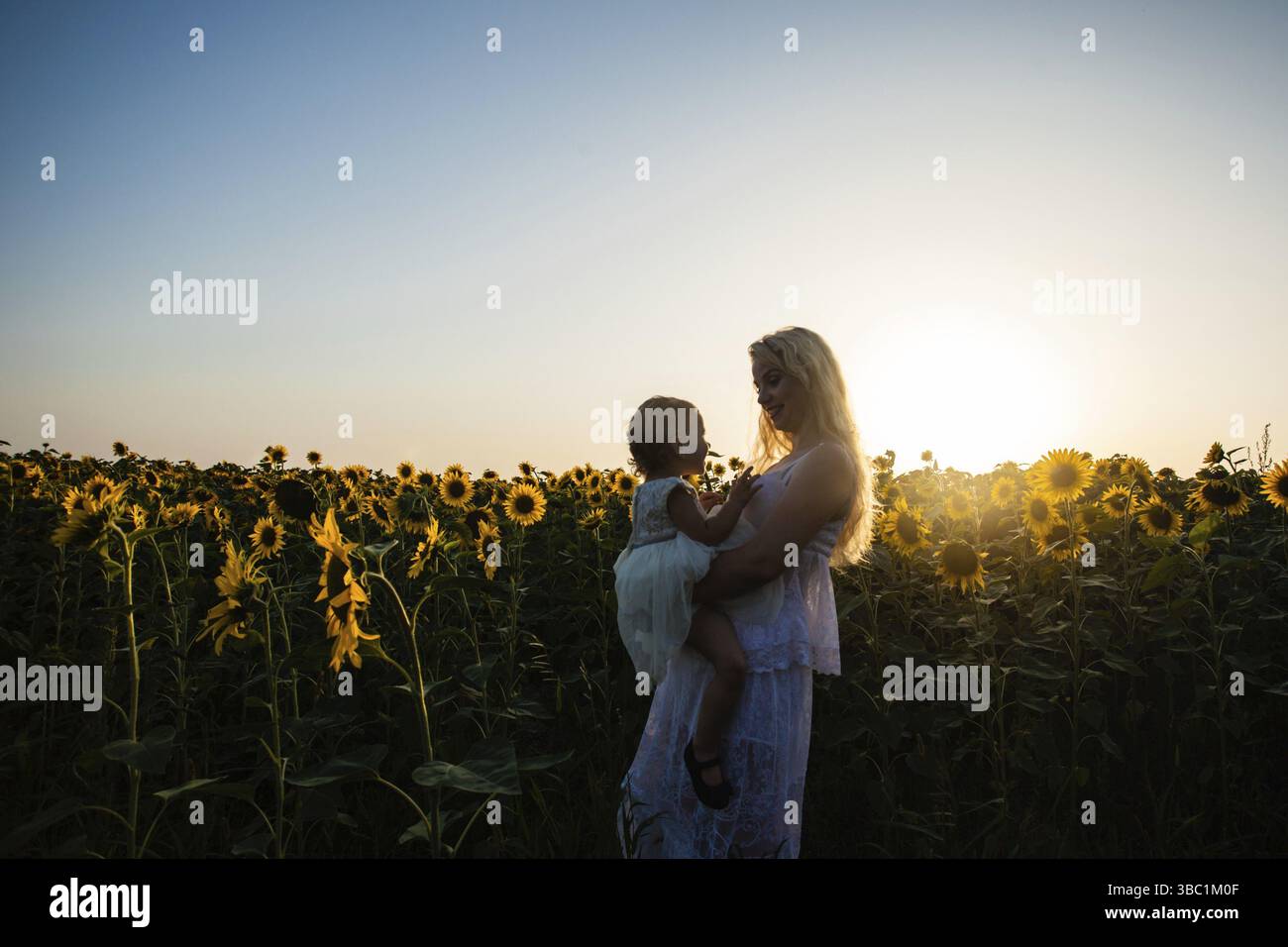 Happy mother hugs her daughter in a sunflower field, white clothes ...