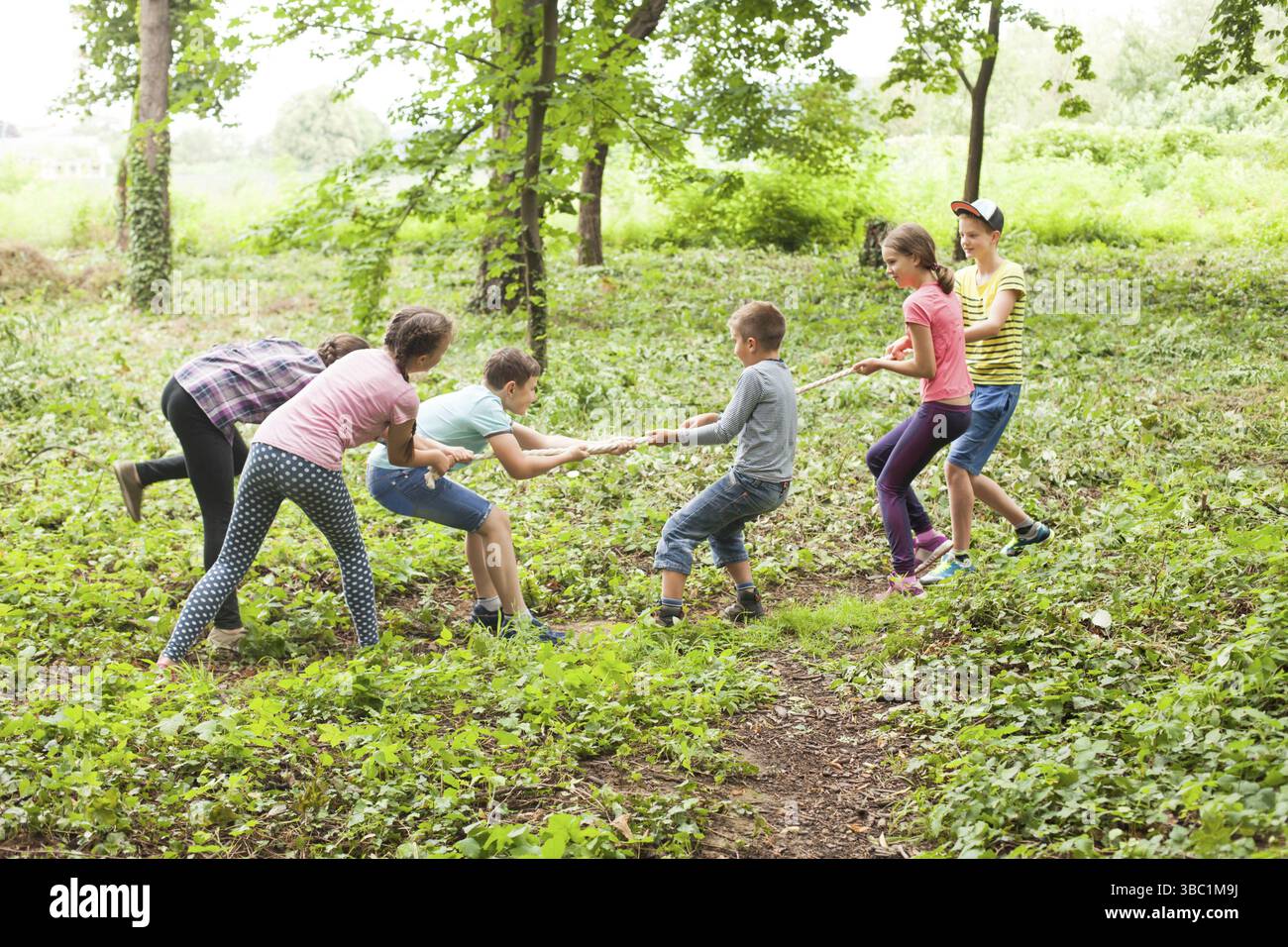 Group of happy smiling kids playing tug-of-war with rope in green park ...