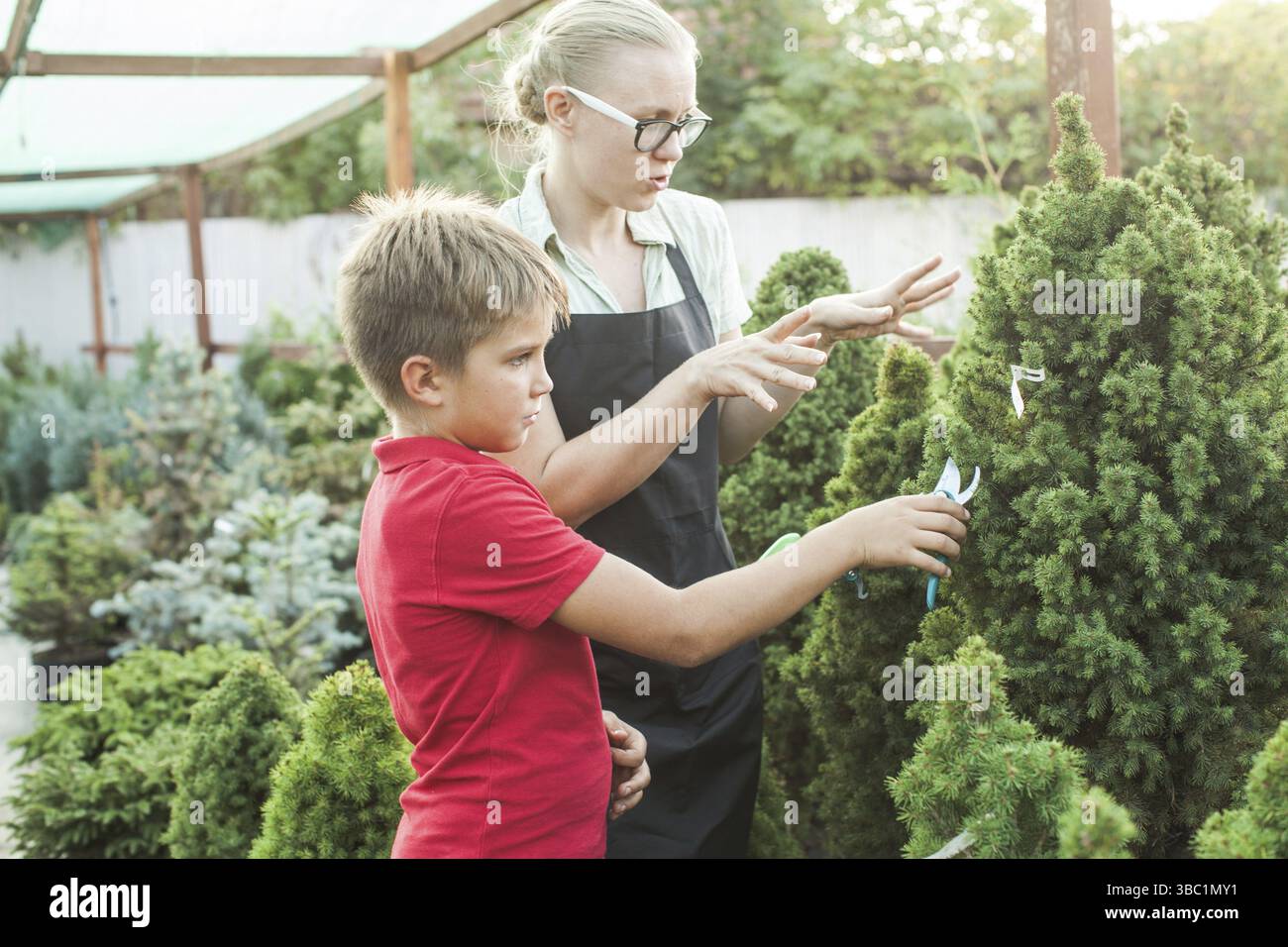 Florist teaches teenage boy how to trim bushes in the greenhouse Stock ...