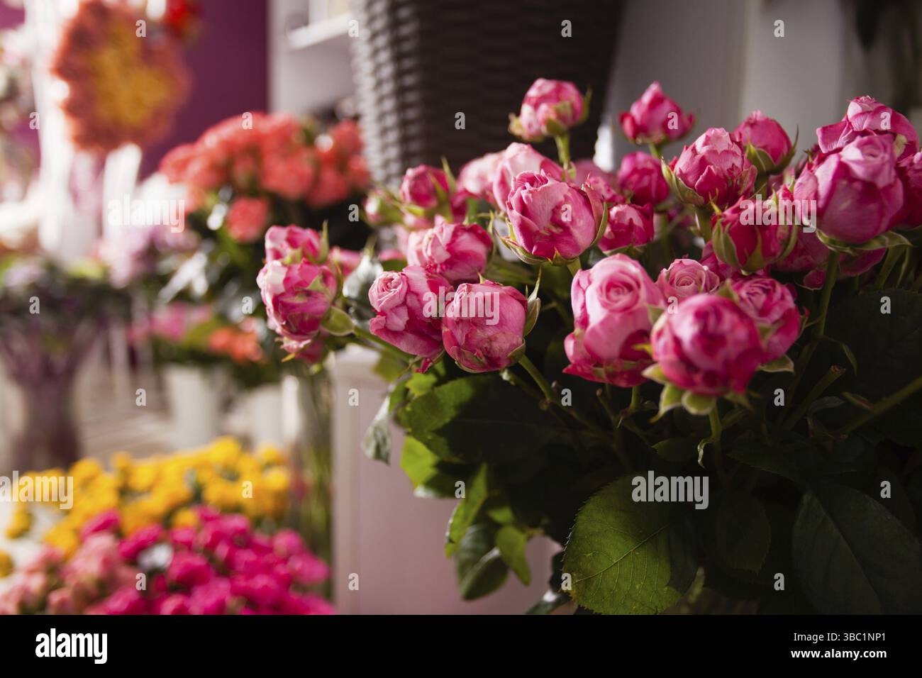 Collection of beautiful roses for sale at a floristic shop Stock Photo ...