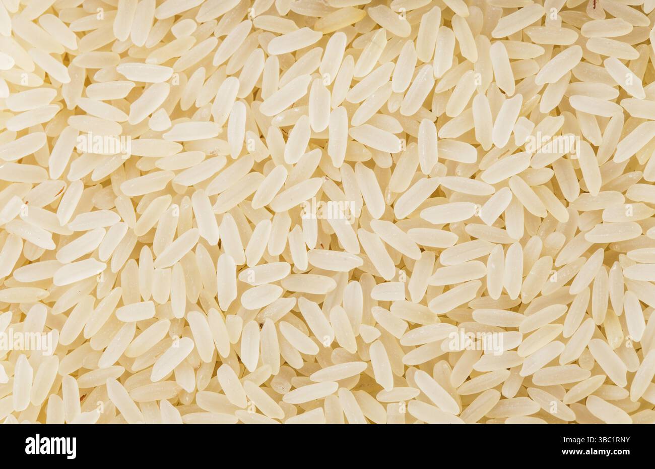 Rice design hi-res stock photography and images - Alamy