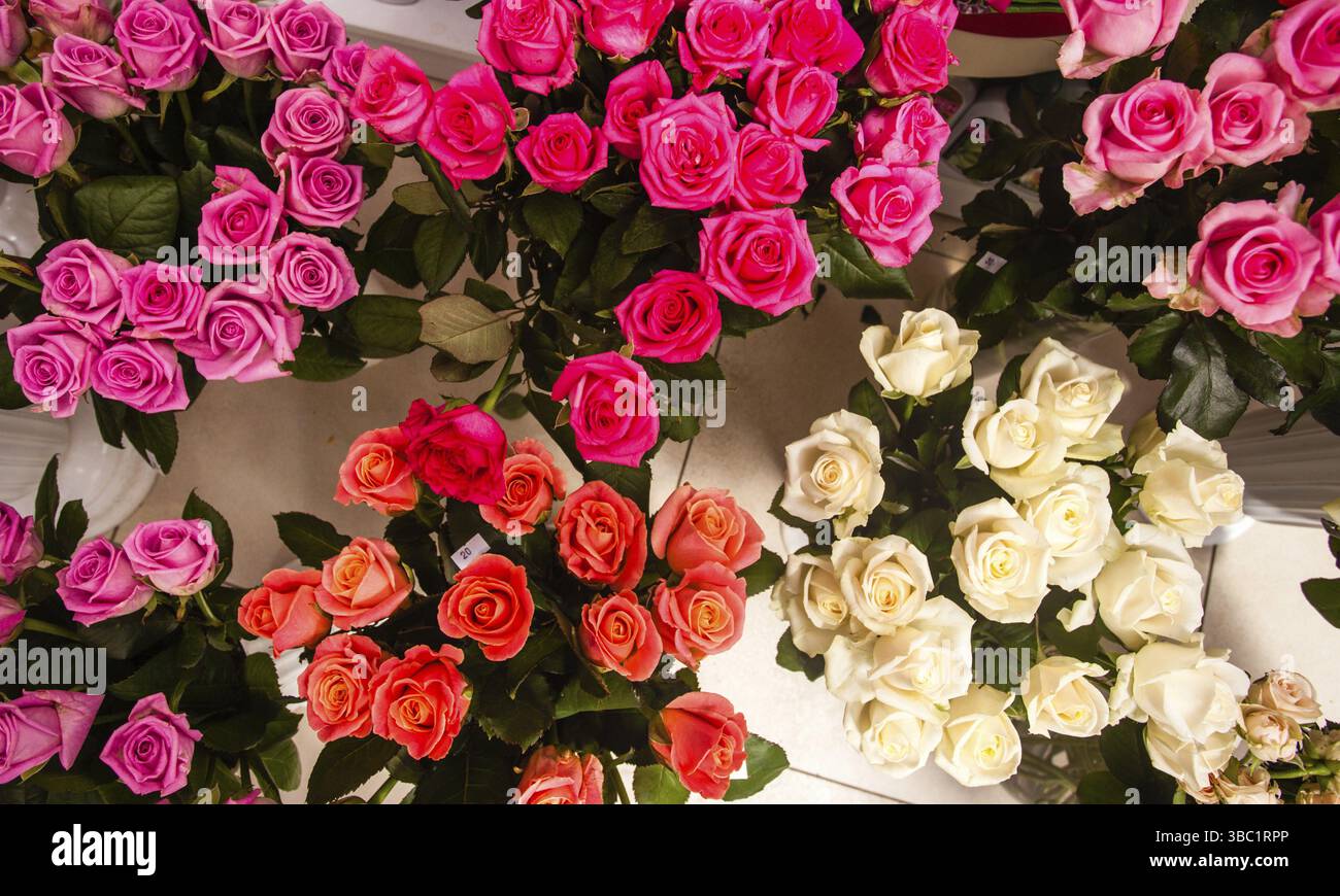 Collection of beautiful roses for sale at a floristic shop Stock Photo ...