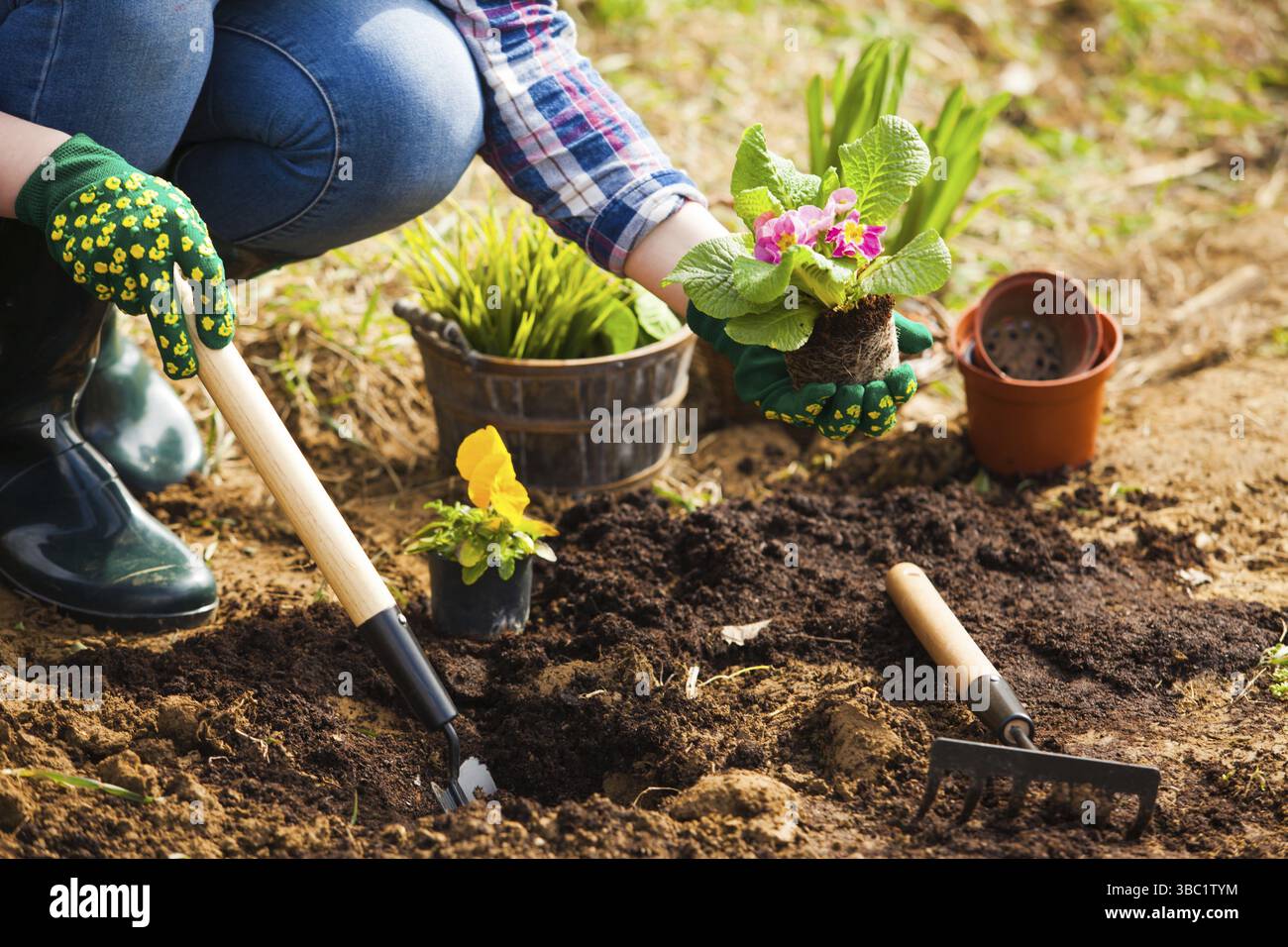 First person view womans hands hi-res stock photography and images - Alamy